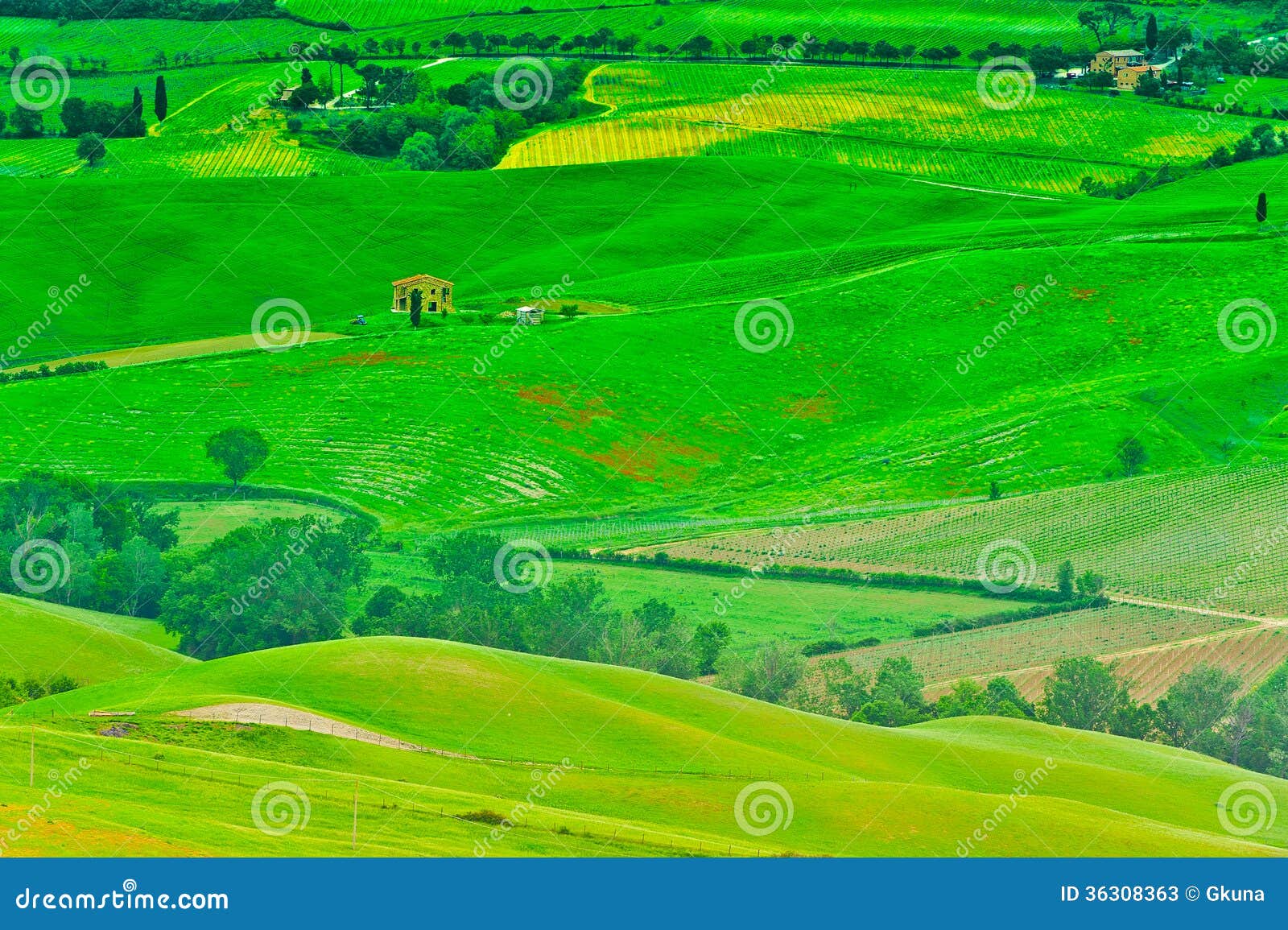 Pasto imagen de archivo. Imagen de crecimiento, colina - 36308363