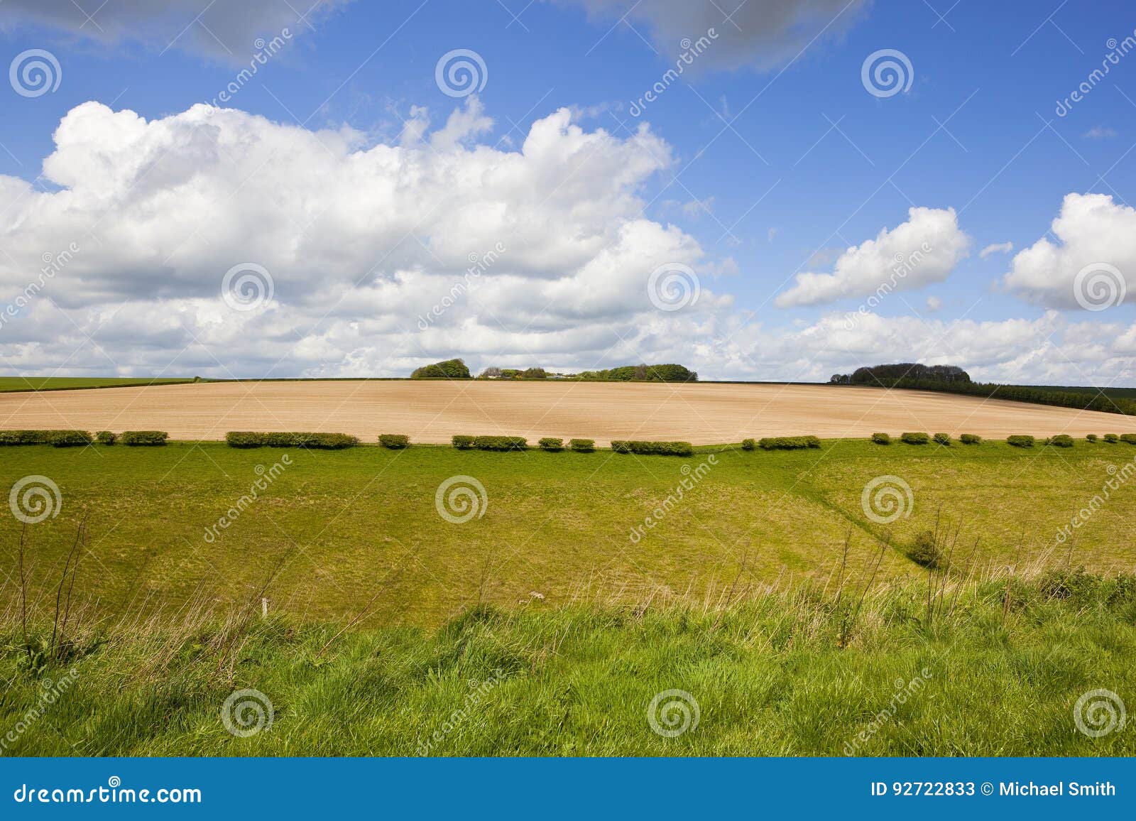 Pasto de pasto verde imagen de archivo. Imagen de farmland - 92722833