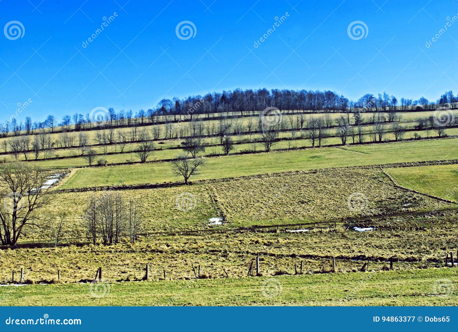 Pasto en la colina imagen de archivo. Imagen de plantas - 94863377