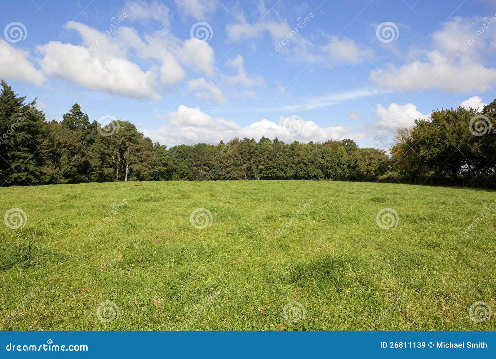 Pasto verde imagen de archivo. Imagen de paisaje, verde - 26811139