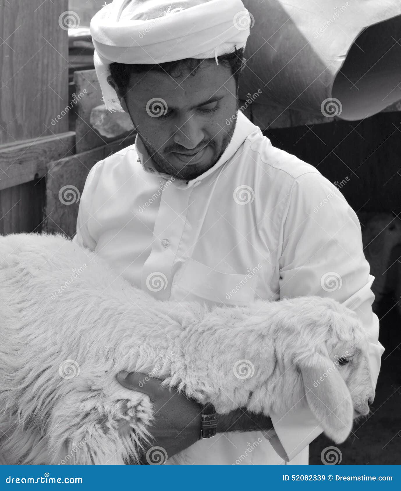 Pastor with Sheep imagem de stock editorial. Imagem de arabia - 52082339