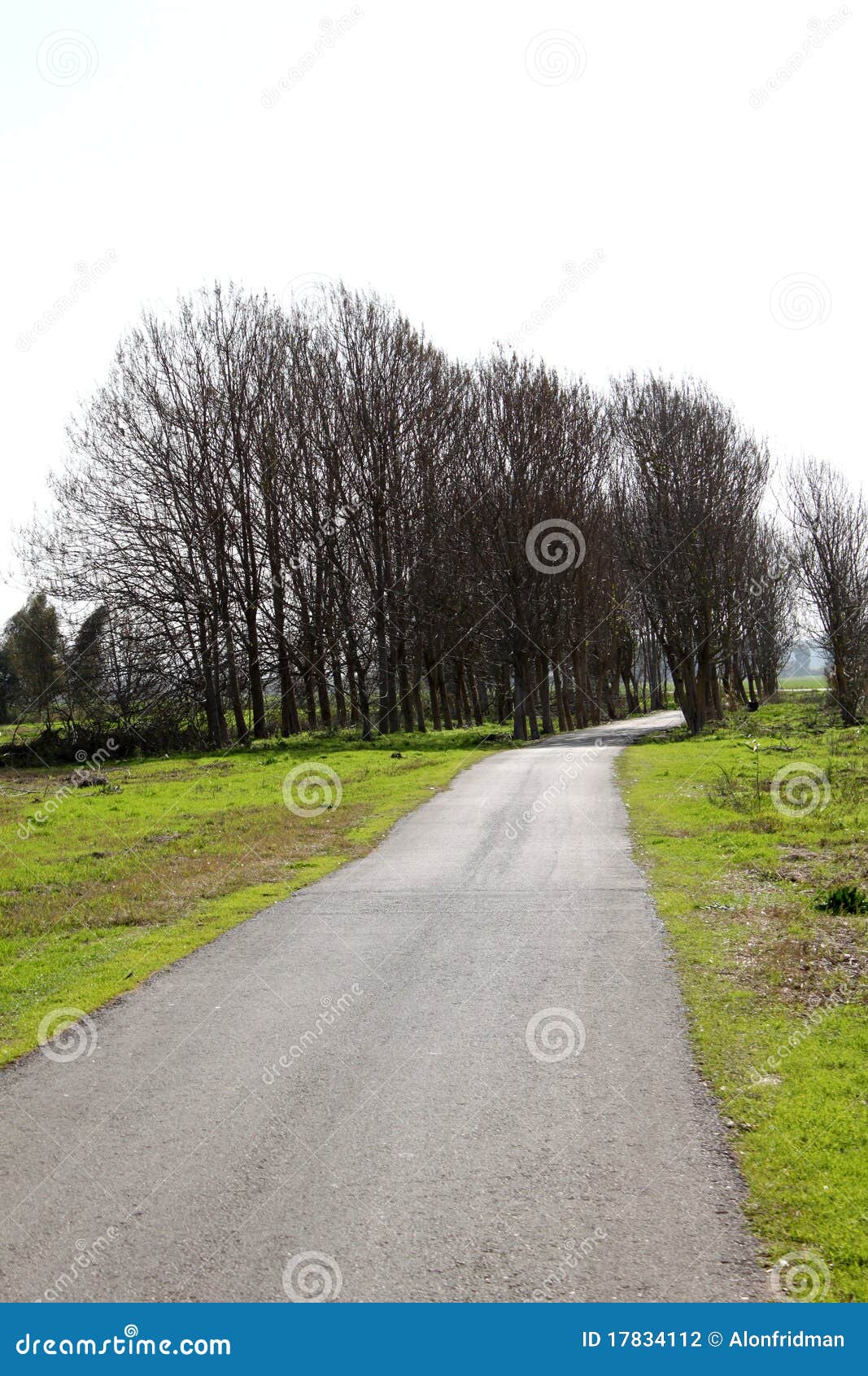 Pastoral Countryside Road stock photo. Image of fall - 17834112