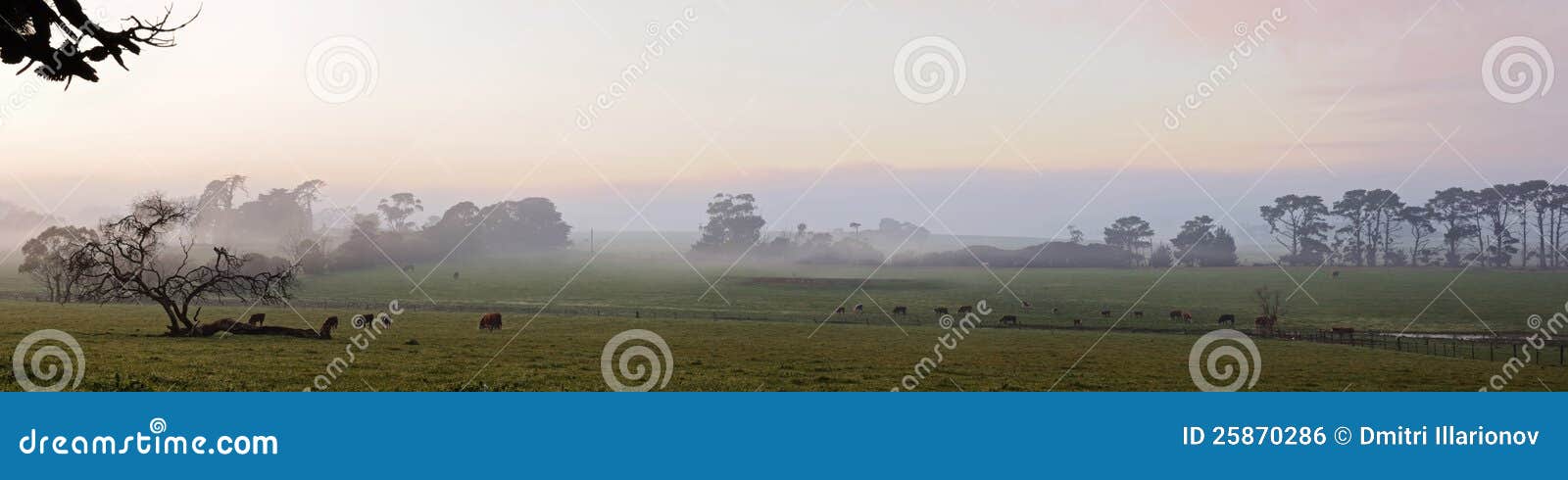 Pastoral farm panorama stock photo. Image of livestock - 25870286