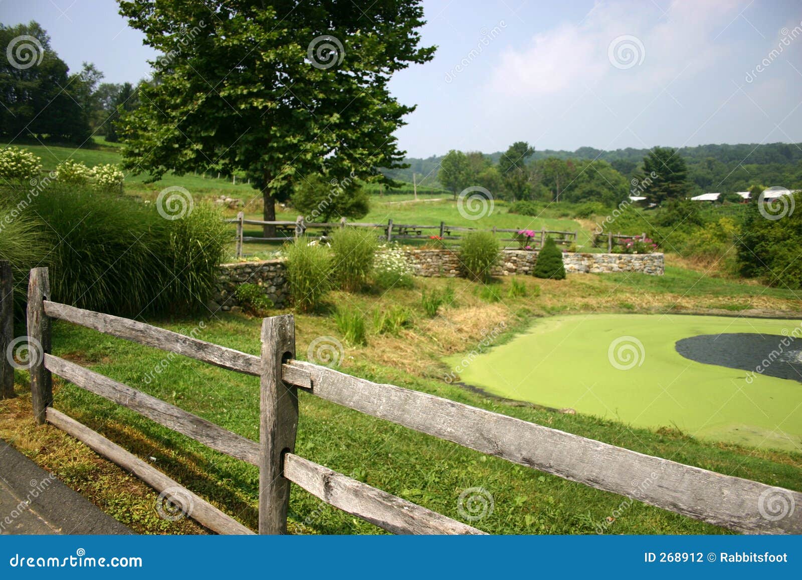 Pastoral Landscape stock photo. Image of green, summer - 268912