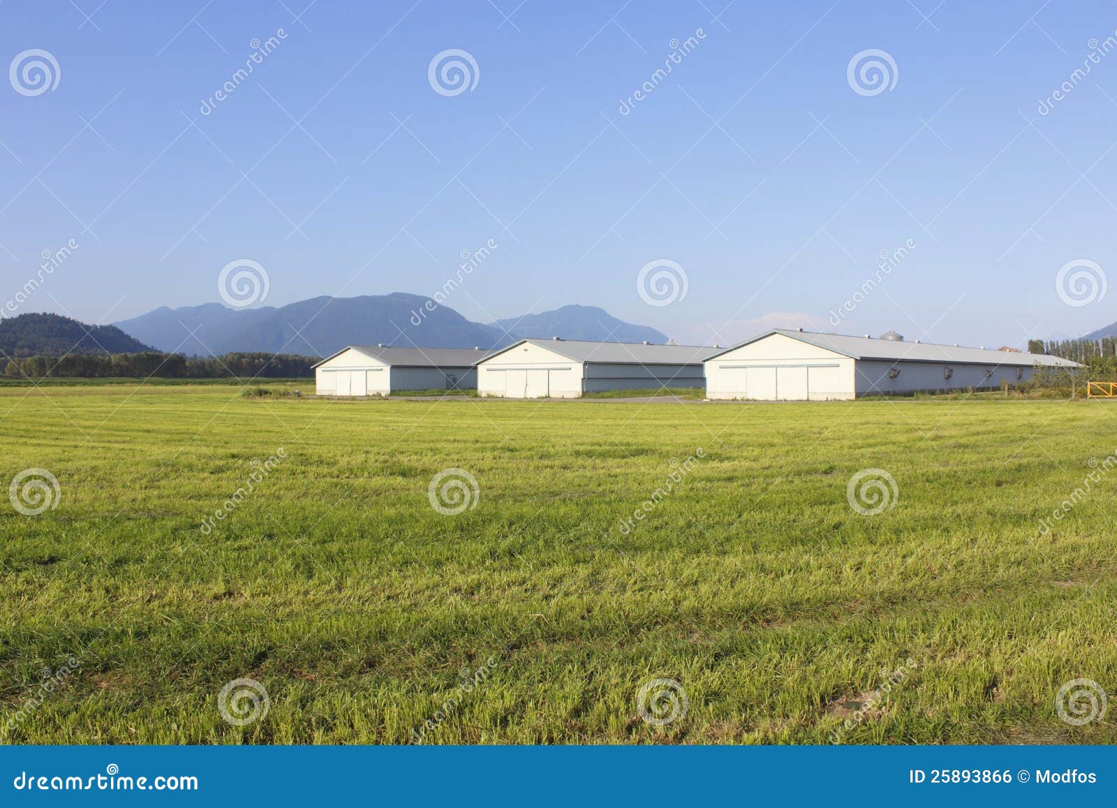 Pastoral Rural Scene stock photo. Image of agricultural - 25893866