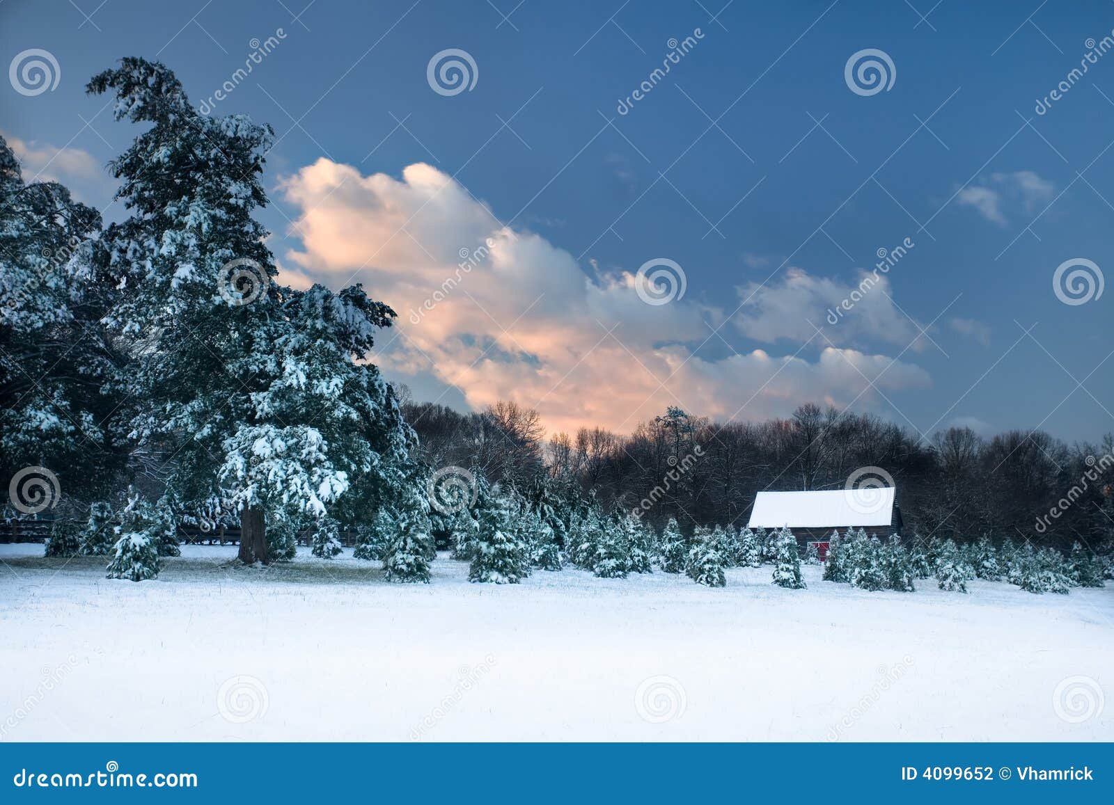 Pastoral snow scene. stock photo. Image of blue, frozen - 4099652