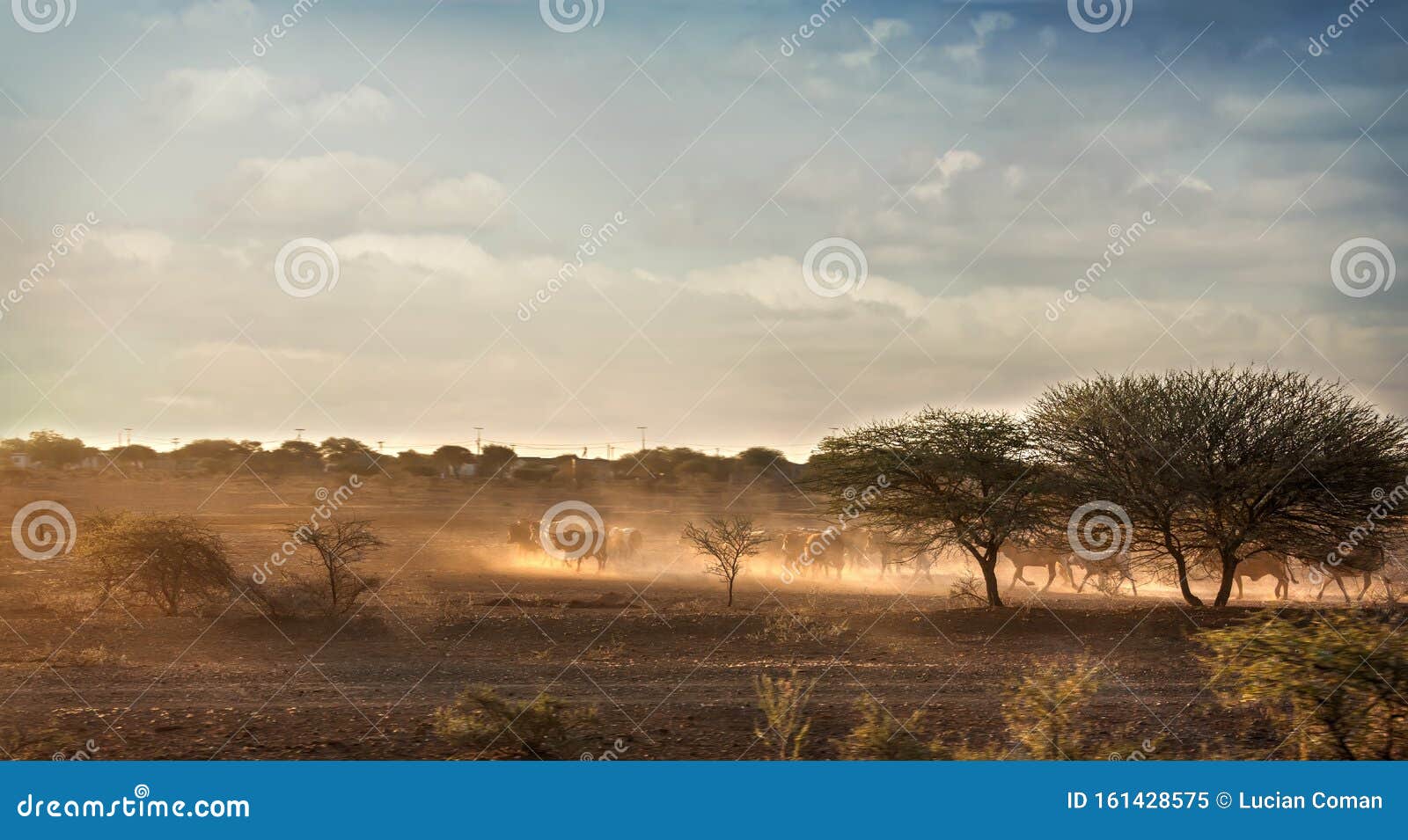 Pastoral Village Background Stock Image - Image of countryside ...