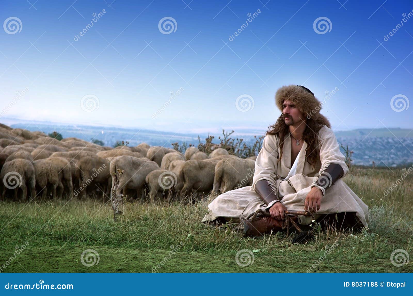 Pastore solo con le pecore fotografia stock. Immagine di persona - 8037188