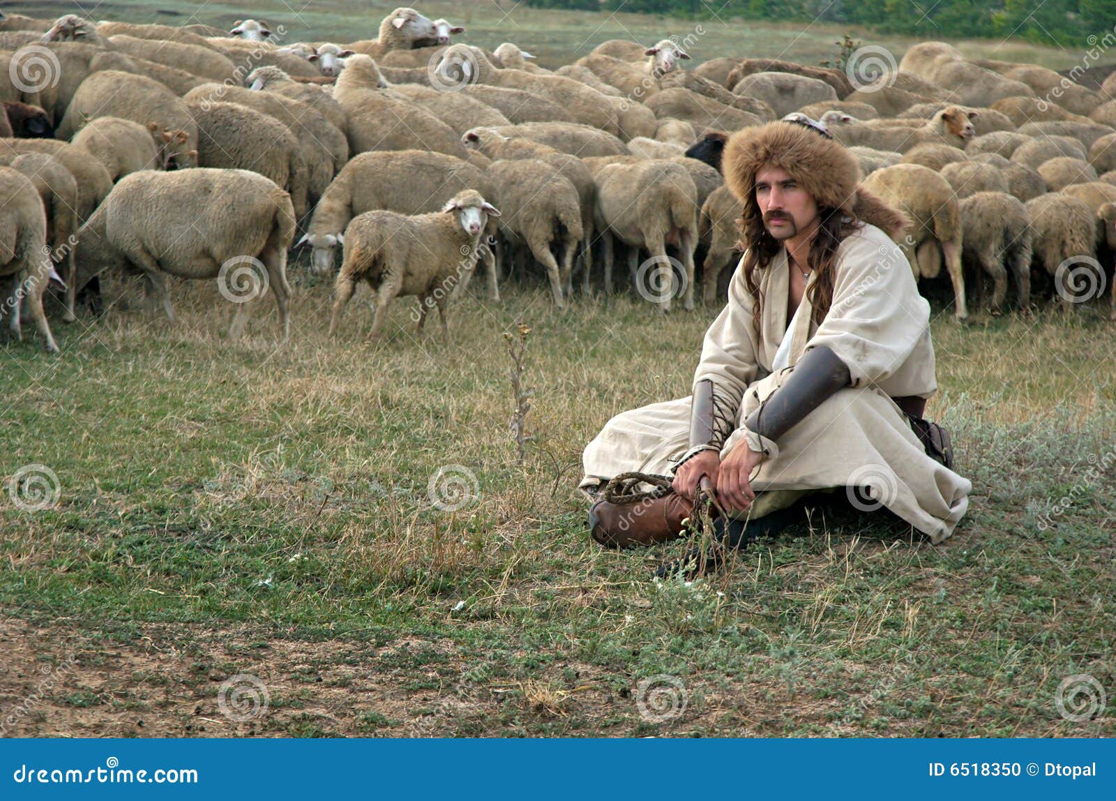 Pastore Solo Con Le Pecore Sul Prato Verde Fotografia Stock - Immagine ...