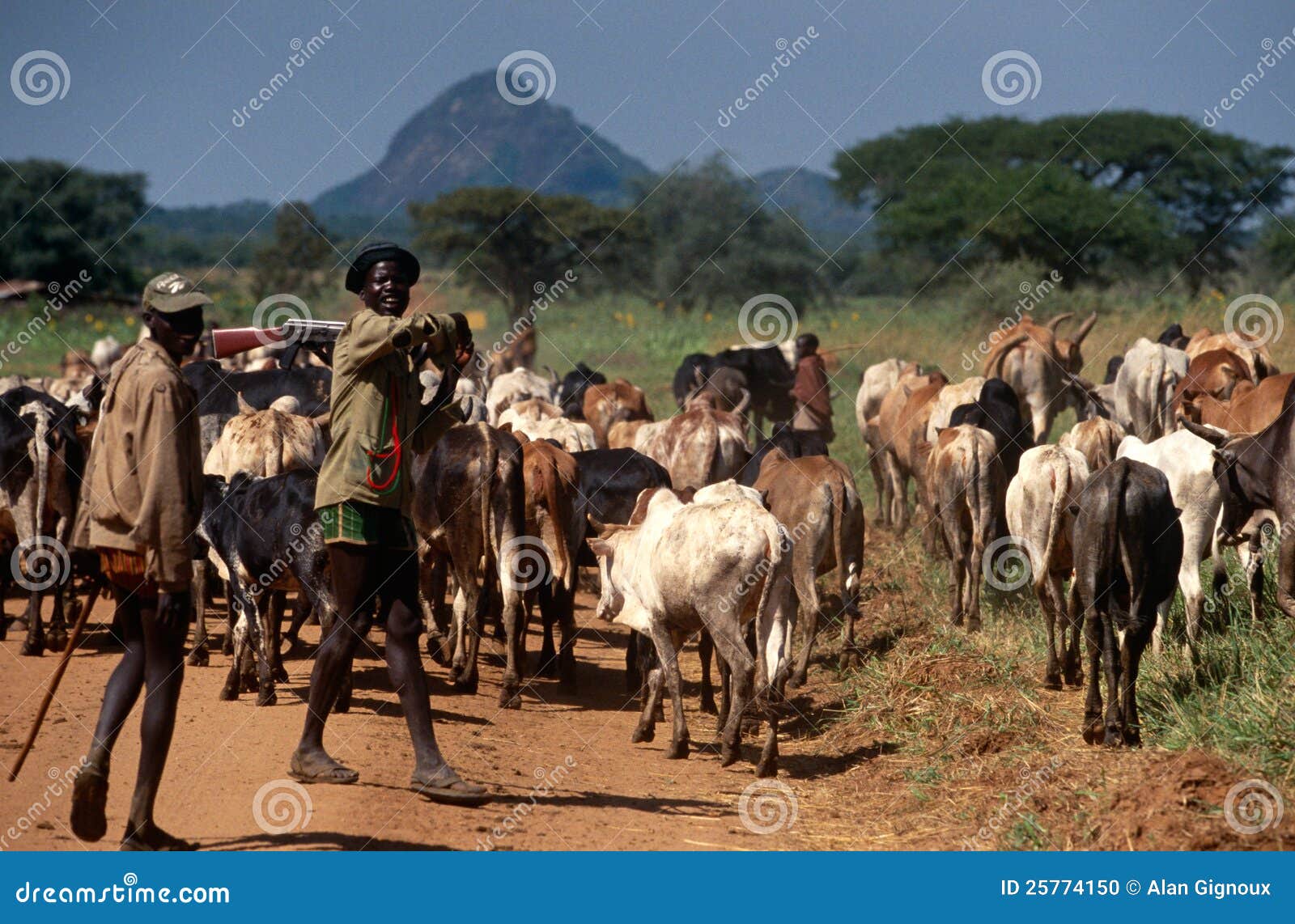 Pastores Do Gado De Karamojong Com Armas, Uganda Imagem Editorial ...