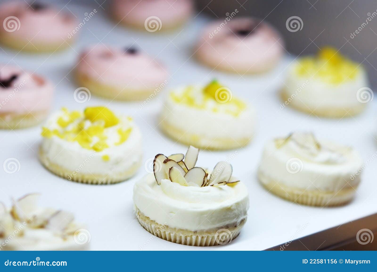 141 Shortcake Shell Photos - Free & Royalty-Free Stock Photos from ...
