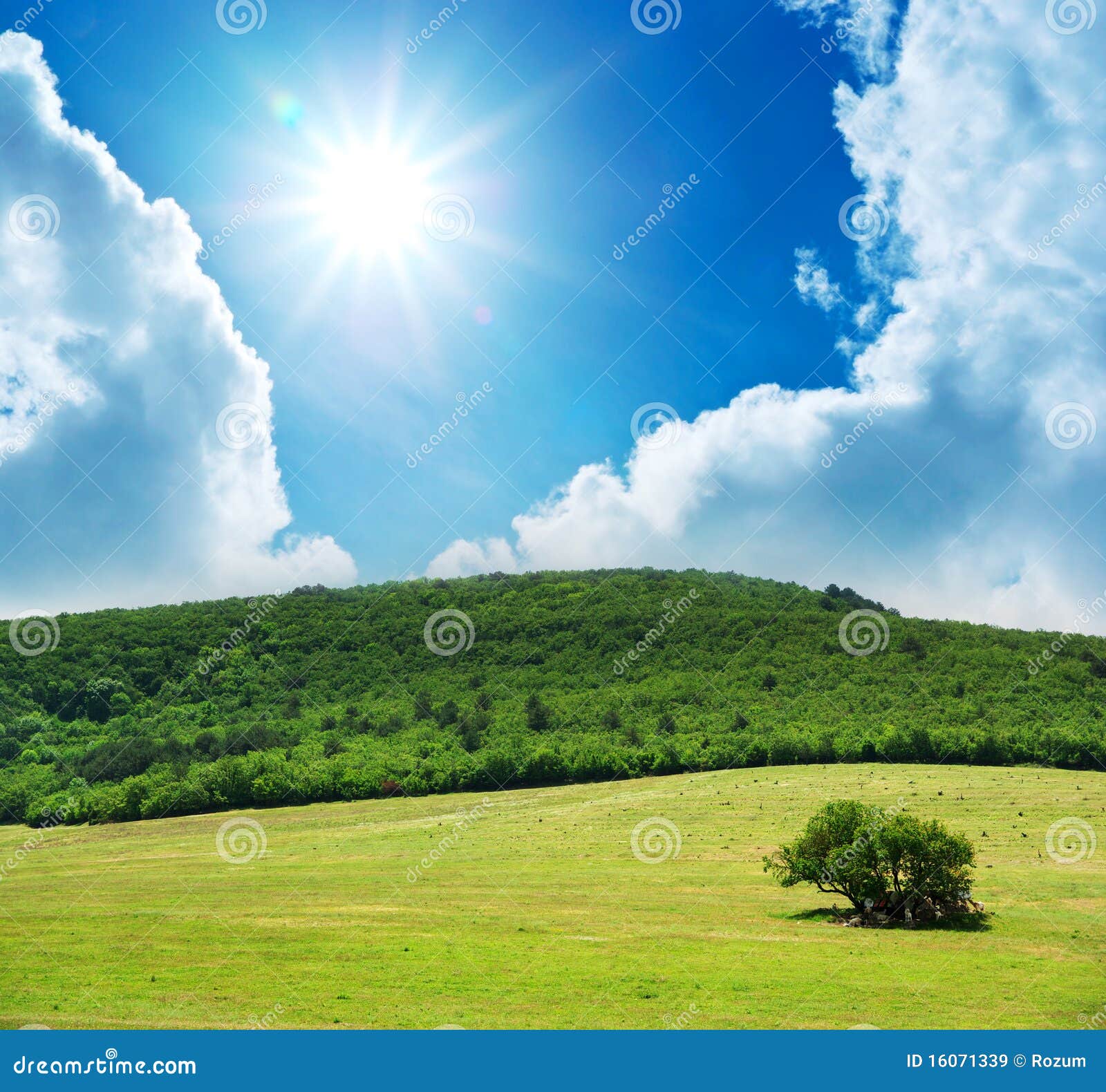 Pasture stock image. Image of country, farm, beautiful - 16071339