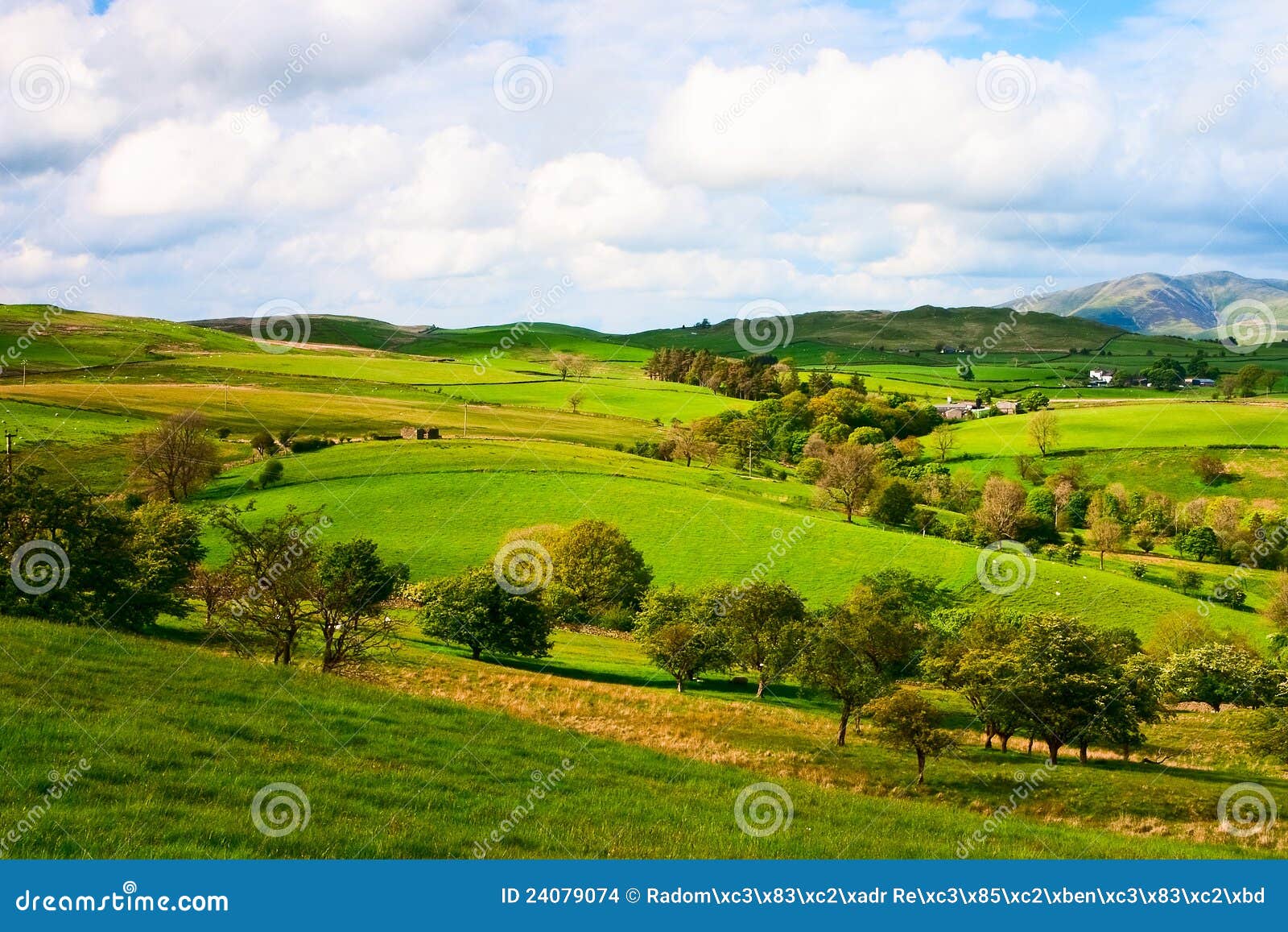 On the pasture stock photo. Image of calm, tranquil, england - 24079074