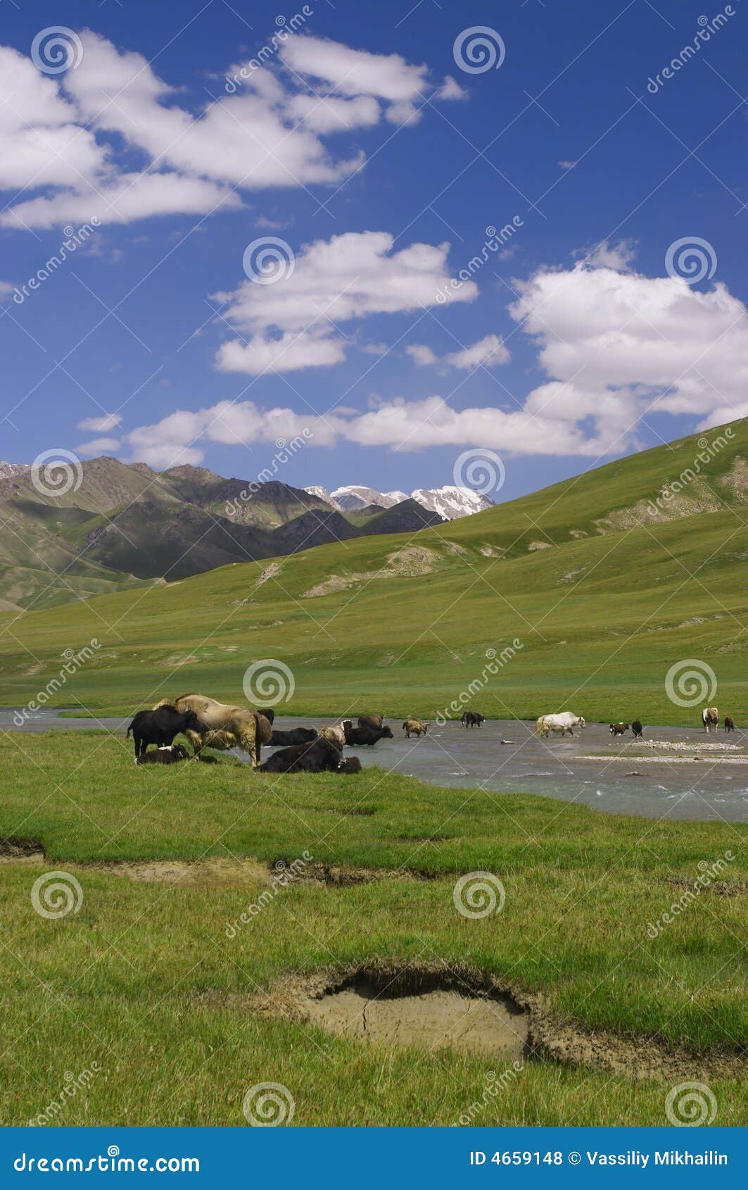 Pasture stock photo. Image of horizon, beautiful, land - 4659148
