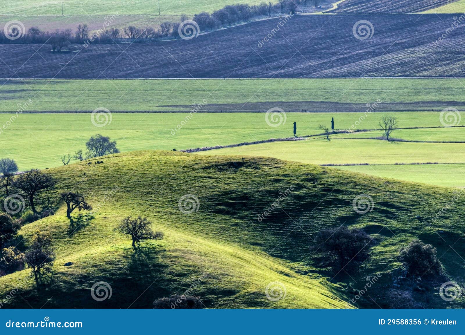 Pasture and Field stock photo. Image of tree, trail, park - 29588356