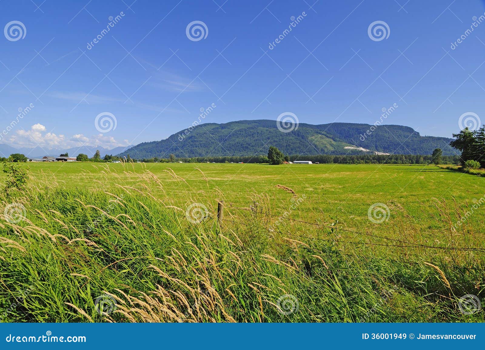 Pasture Fields in the Countryside Stock Image - Image of farm, country ...