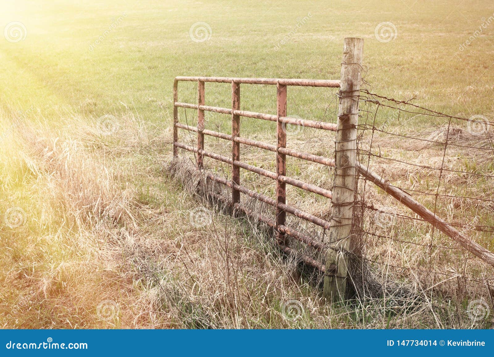 Pasture Gate stock photo. Image of entrance, border - 147734014