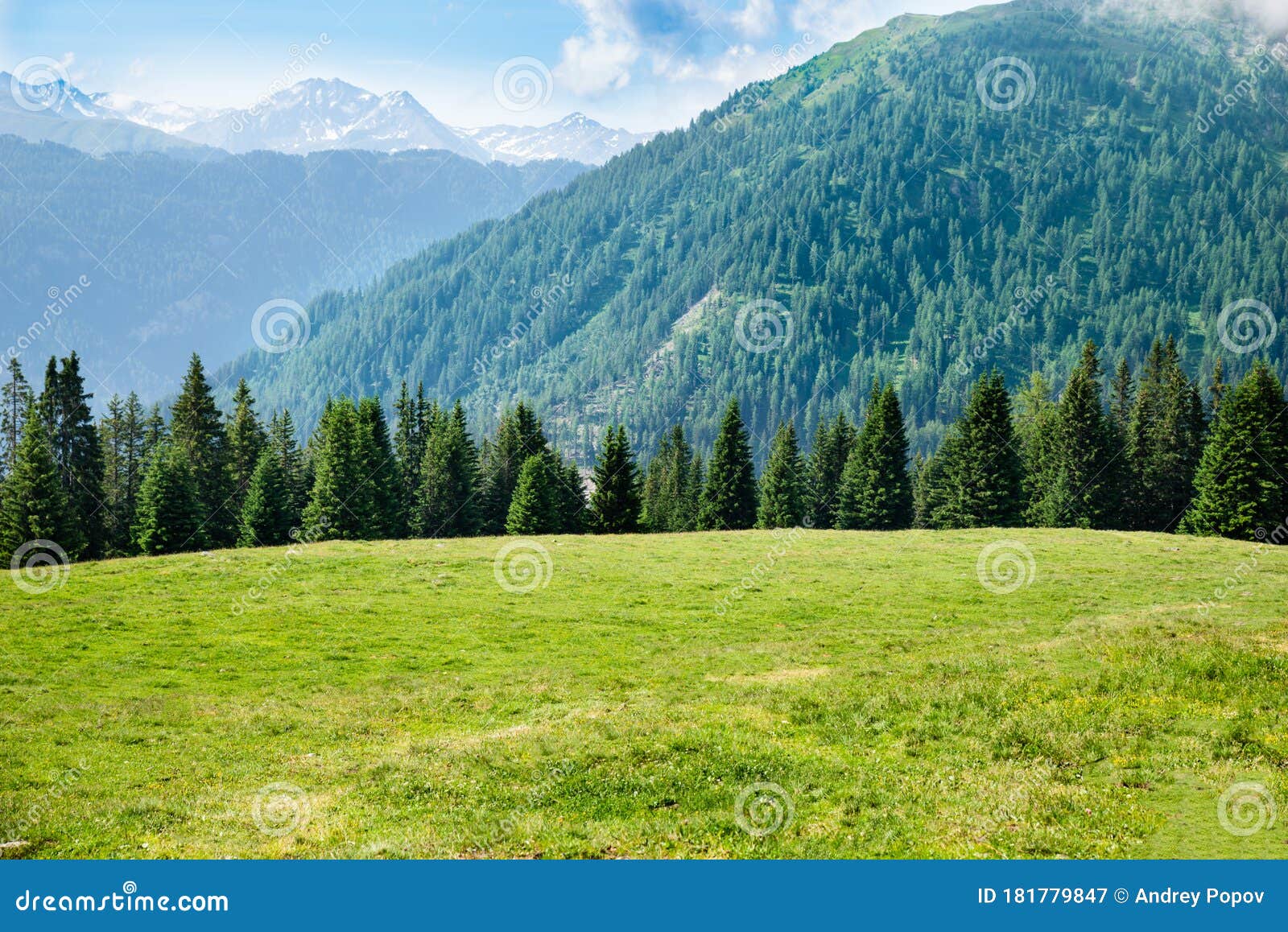 Pasture Grass Field in Austrian Alps Stock Image - Image of outdoors ...