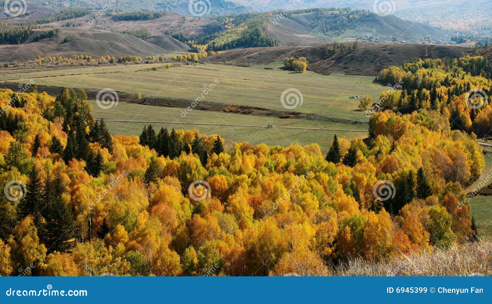 Pasture land stock image. Image of fall, mountain, grassland - 6945399