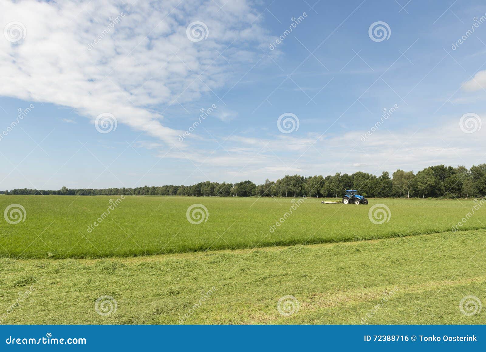 Pasture Mowing with Blue Tractor Stock Photo - Image of countryside ...