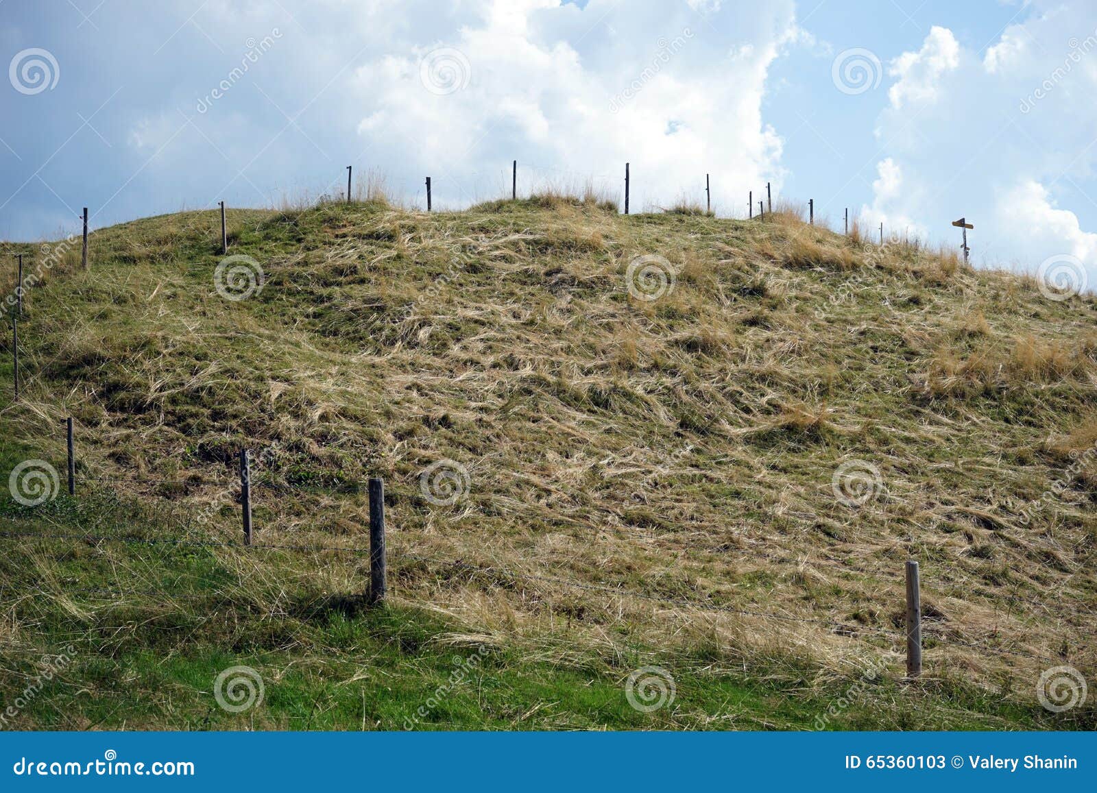 Pasture stock image. Image of hill, slope, pasture, switzerland - 65360103