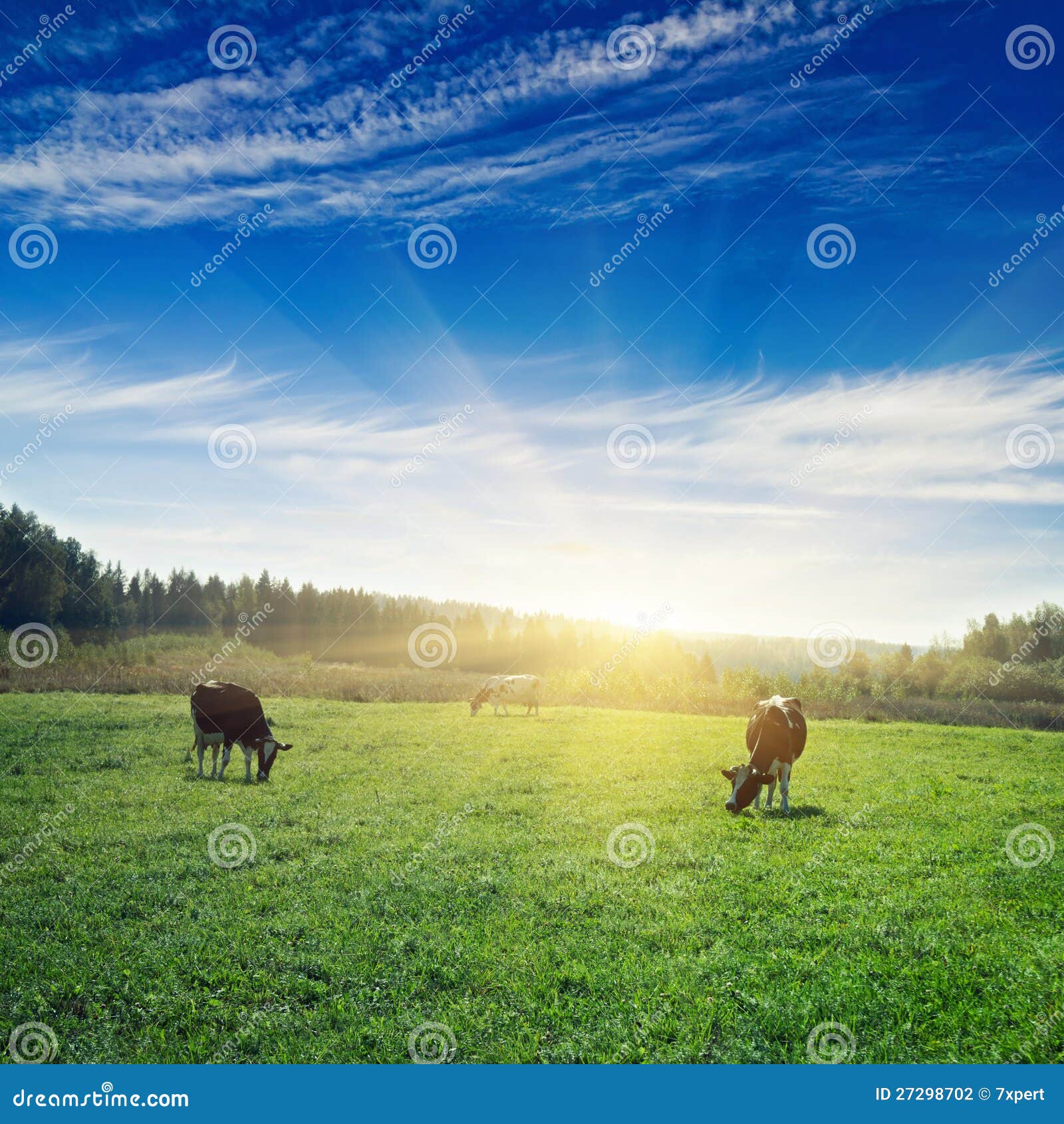 40,782 Pasture Sunrise Stock Photos - Free & Royalty-Free Stock Photos ...