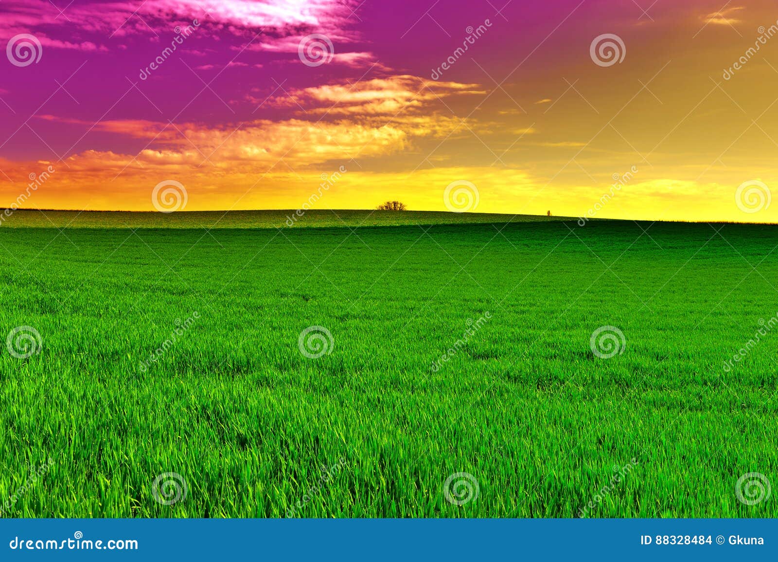 Pasture at Sunset stock photo. Image of harvest, agriculture - 88328484
