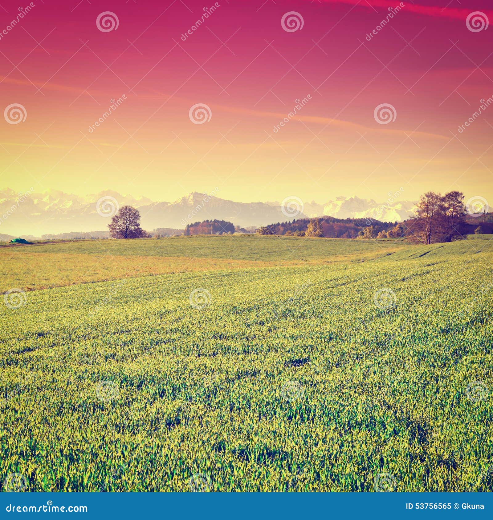 Pasture at Sunset stock image. Image of capped, field - 53756565