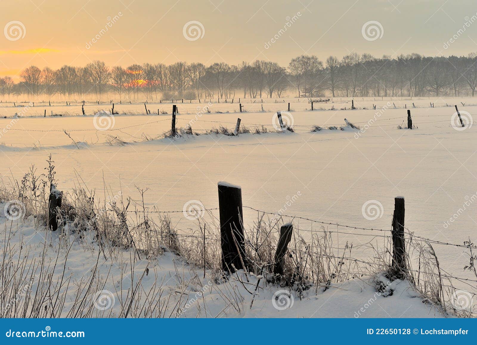 Pasture in winter stock photo. Image of landscape, horizon - 22650128