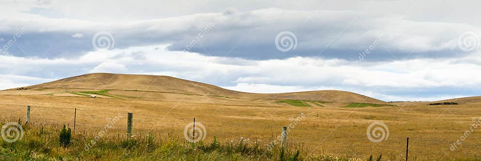 Pasturelands in the Heat of Summer Stock Photo - Image of lands ...