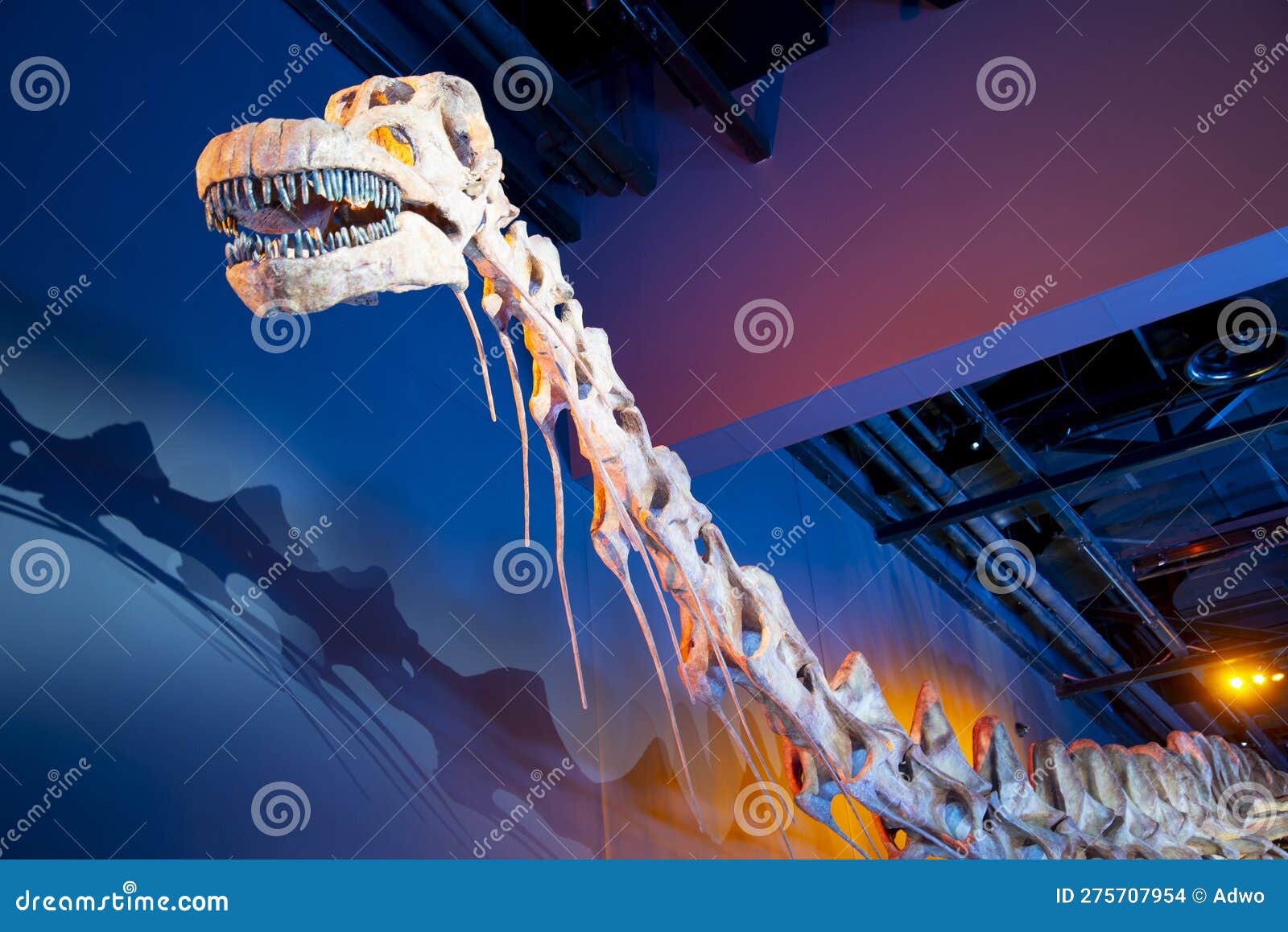 Patagotitan Dinosaur Skeleton Editorial Stock Image - Image of restore ...