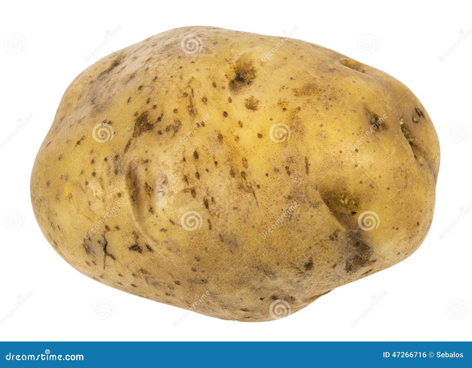 Patata grande foto de archivo. Imagen de vegetariano - 47266716