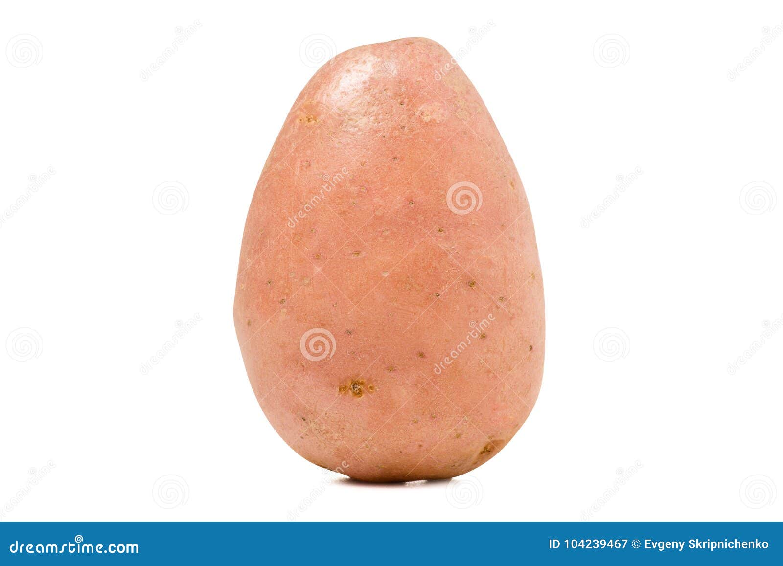 Patata una grande immagine stock. Immagine di organico - 104239467