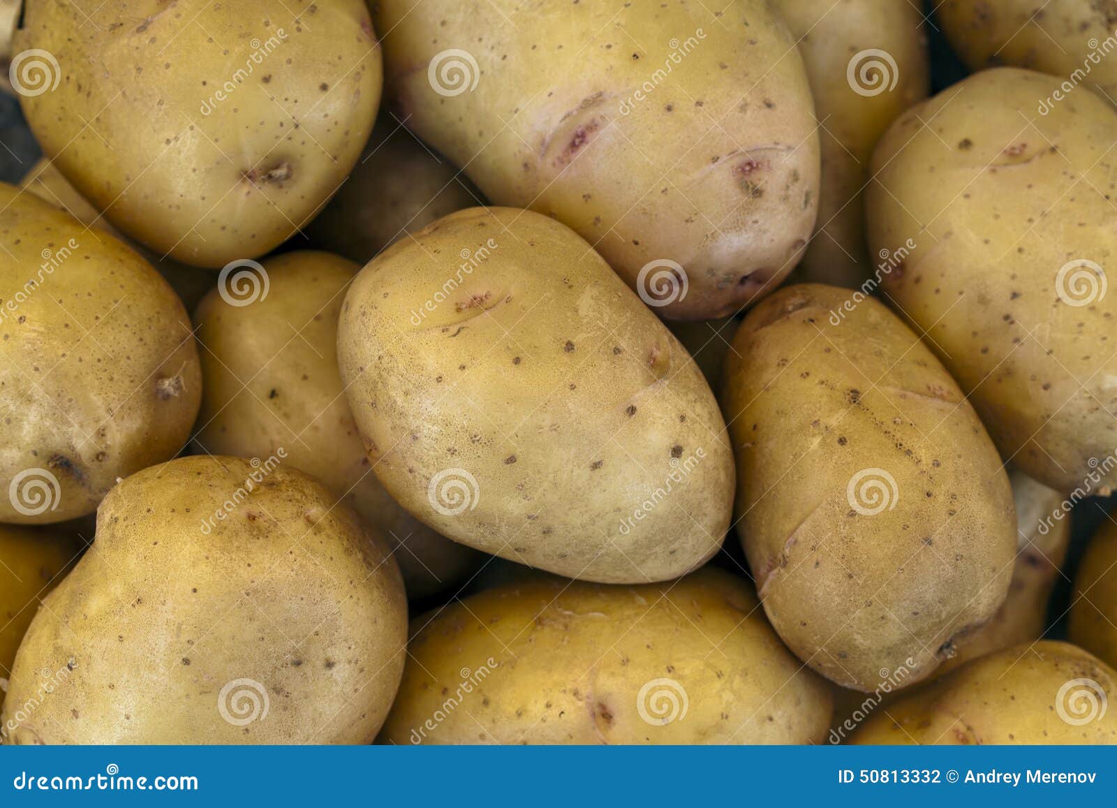 Patatas amarillas foto de archivo. Imagen de amarillo - 50813332