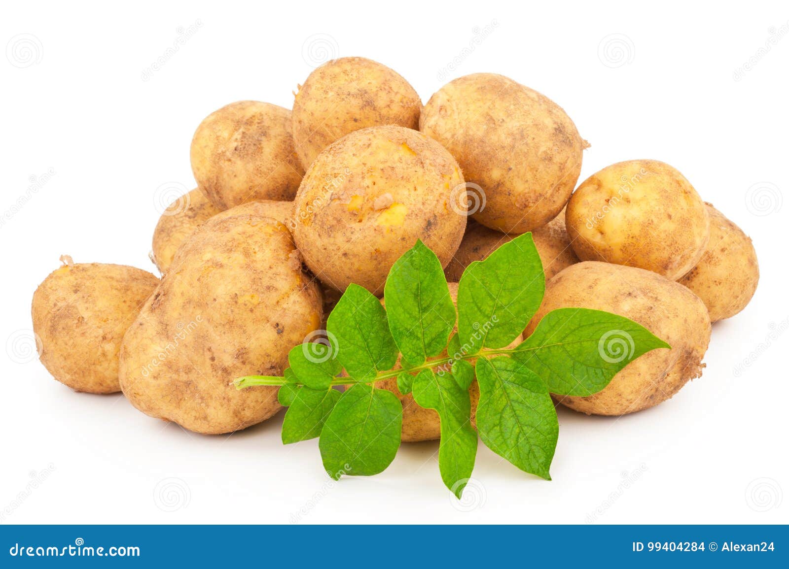 Patatas Amarillas Con Las Hojas Foto de archivo - Imagen de crezca ...