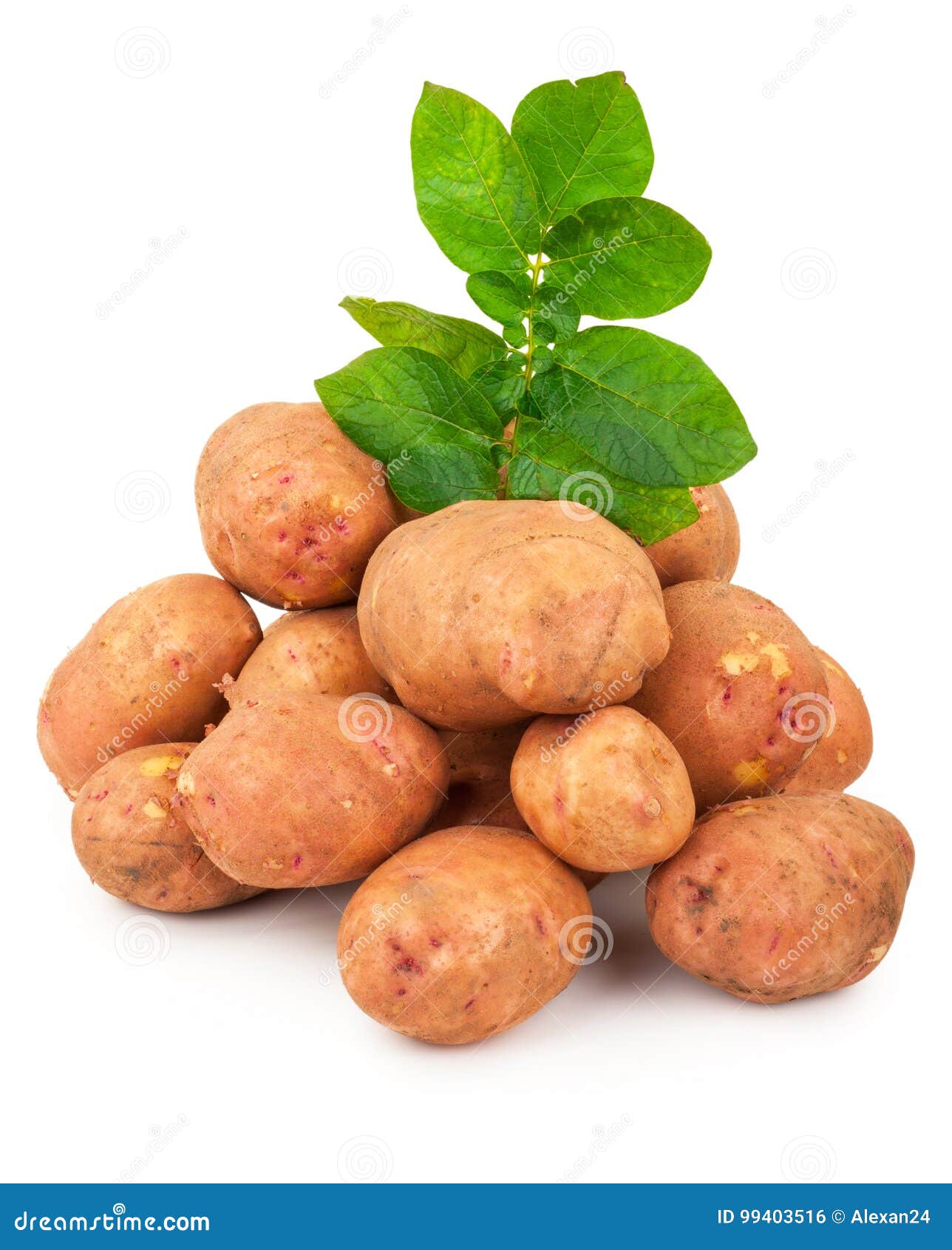 Patatas Rojas Con Las Hojas Foto de archivo - Imagen de cocina, mercado ...