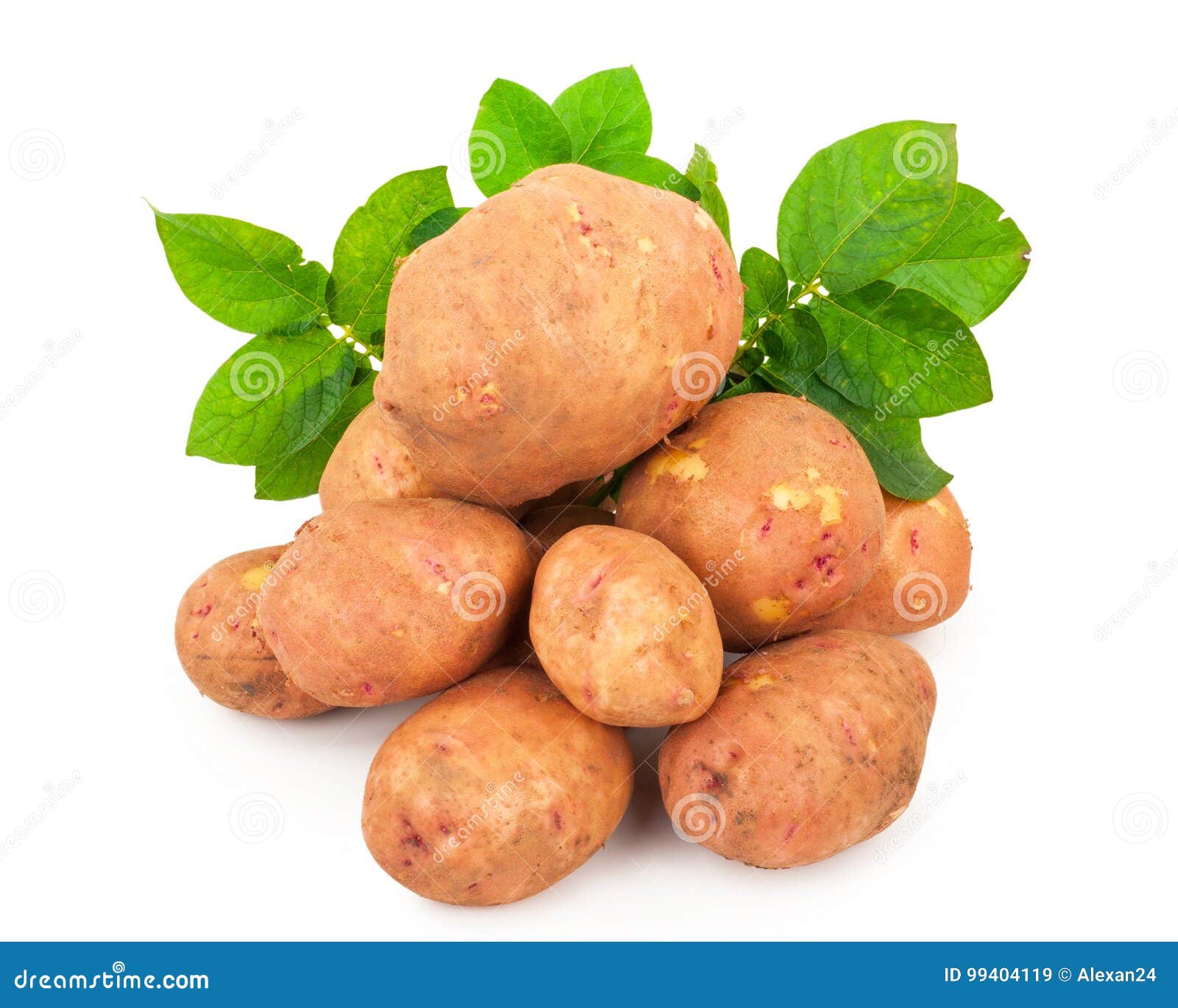 Patatas Rojas Con Las Hojas Imagen de archivo - Imagen de sano, patata ...