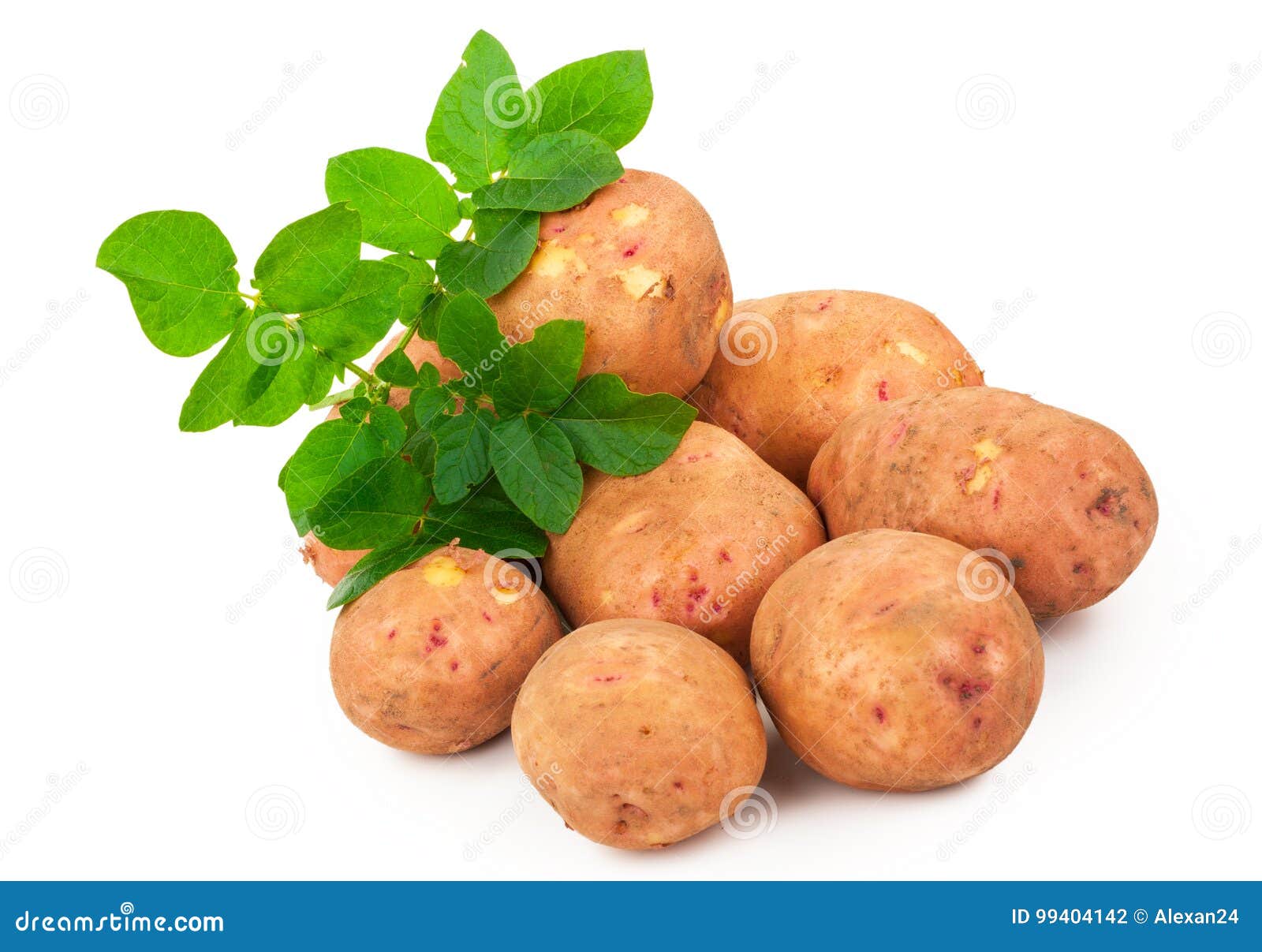 Patatas Rojas Con Las Hojas Foto de archivo - Imagen de travieso, corte ...