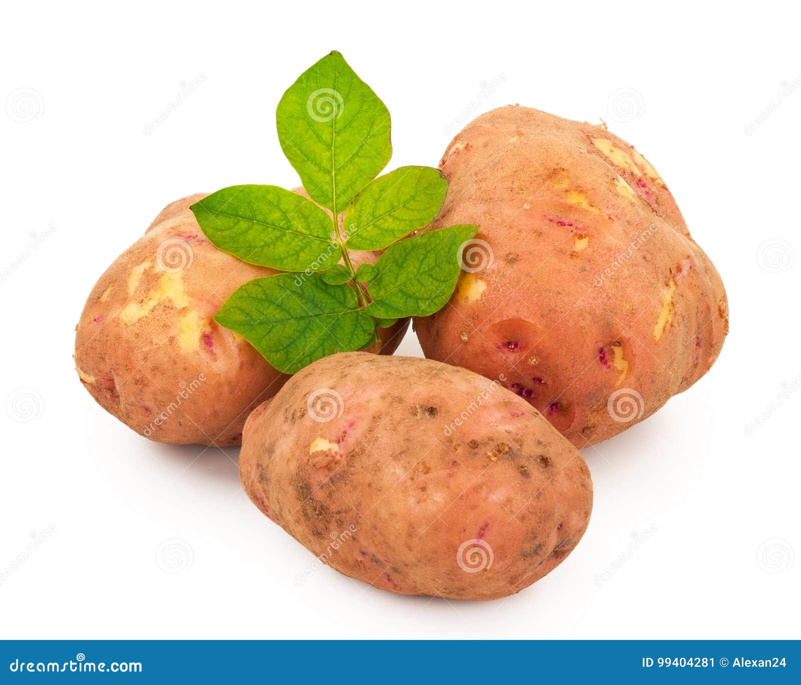 Patatas Rojas Con Las Hojas Imagen de archivo - Imagen de crezca ...