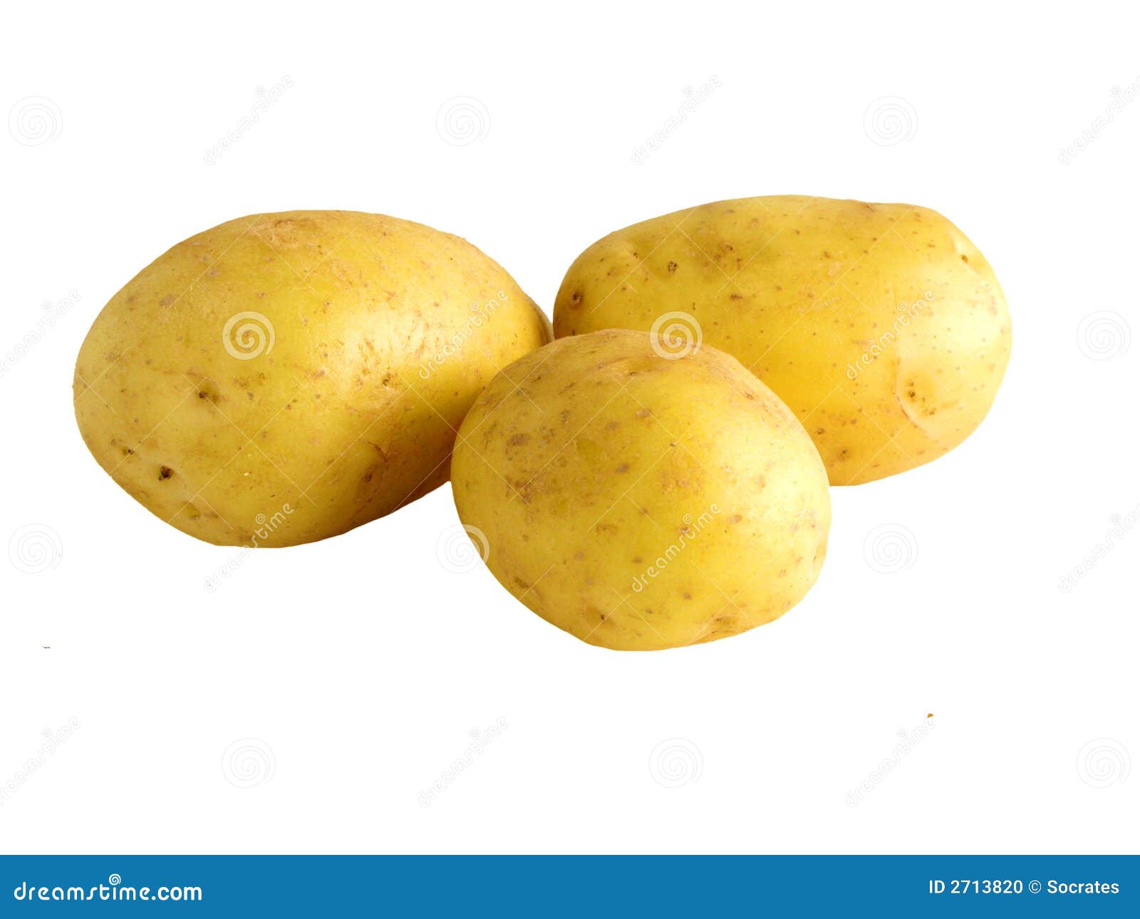 Patatoes stock photo. Image of healthy, garden, harvest - 2713820