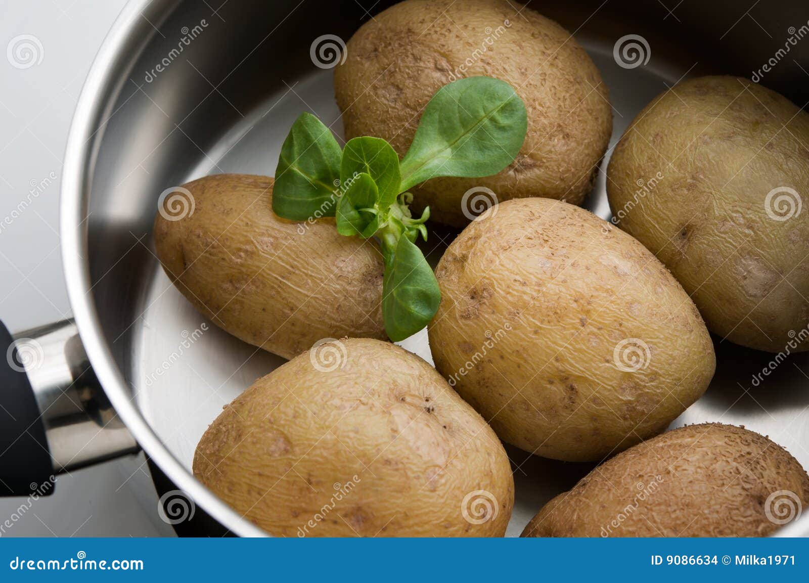 Patats cooked stock photo. Image of food, potato, diets - 9086634