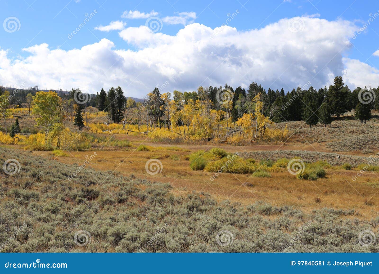 Patch of Autumn stock image. Image of scenery, beautiful - 97840581