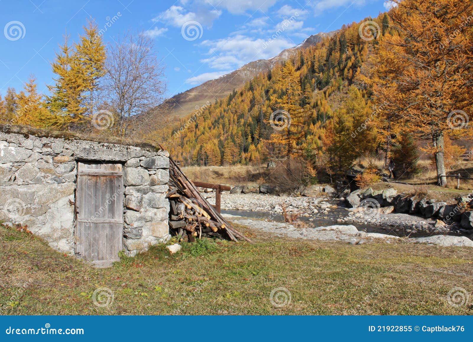 A Patch of Autumn in Ferret Valley Stock Image - Image of river, rocks ...