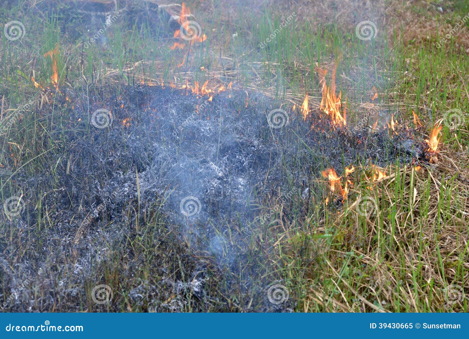 Patch of Burning Grass stock image. Image of grassland - 39430665