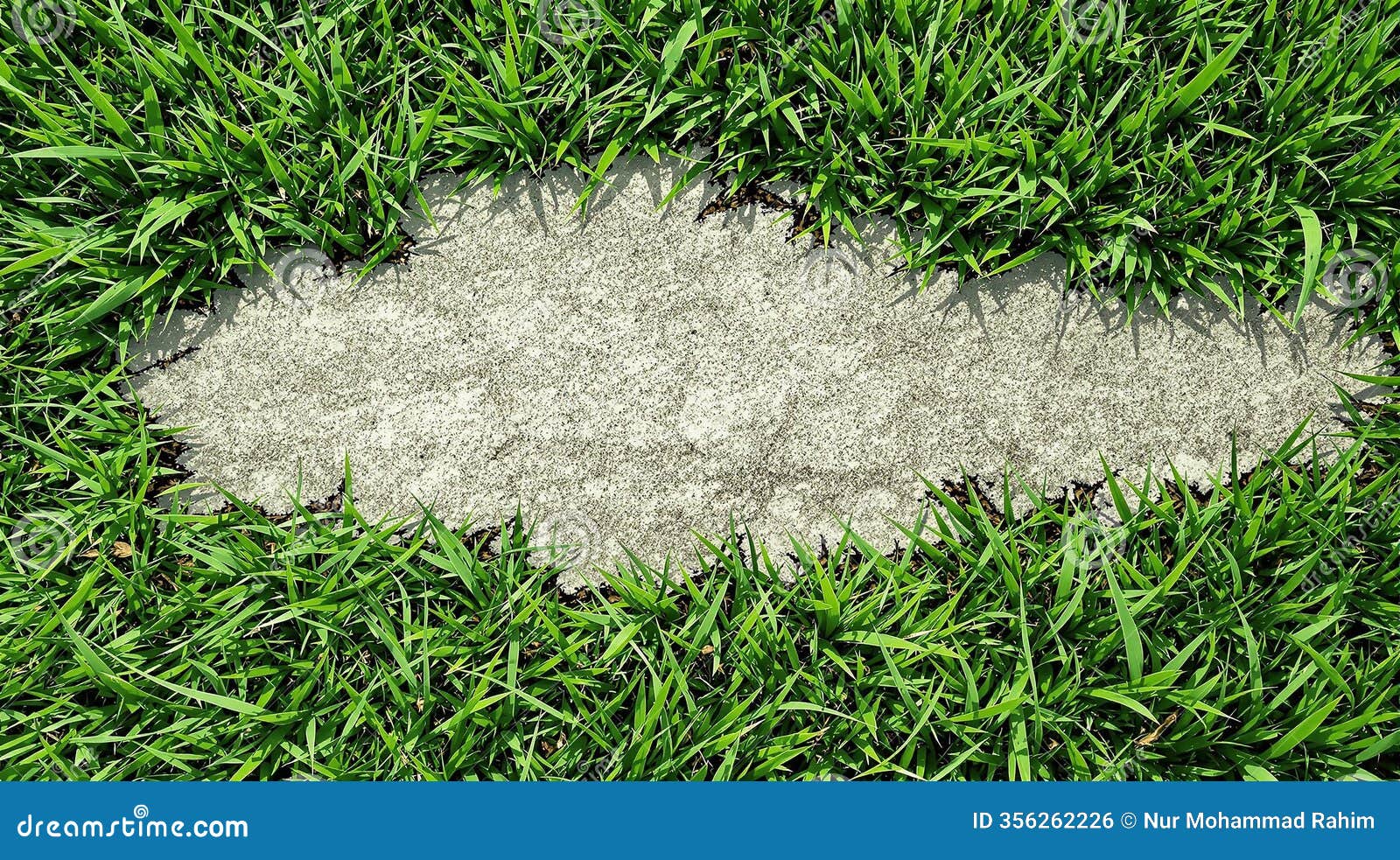 A Patch of Concrete Pathway Nestled within Lush Green Grass Stock ...