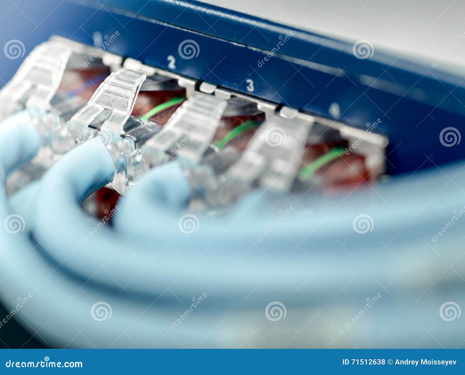 Patch Cords Connected To Gigabit Switch Stock Photo - Image of ...