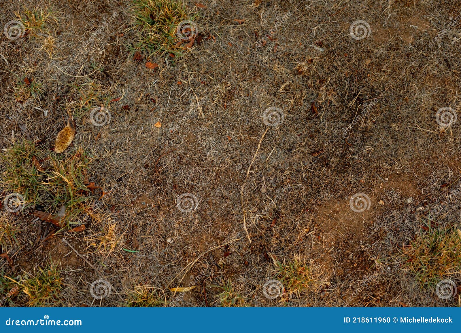 A Patch of Dead Grass and Leaves Stock Photo - Image of cold, meadow ...