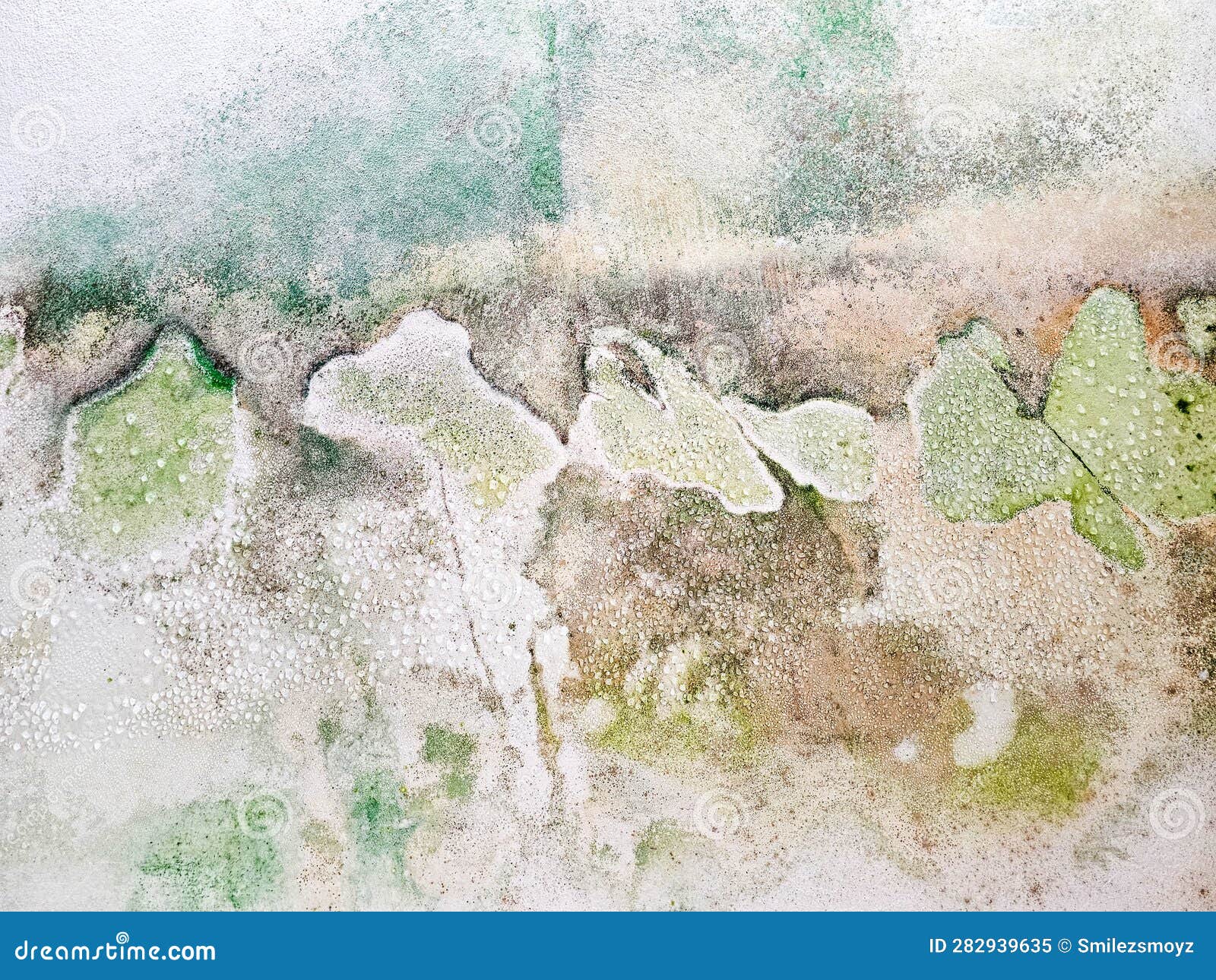 A Patch of Dispersed Fungal Algae or Moss Grows on an Old Plaster ...