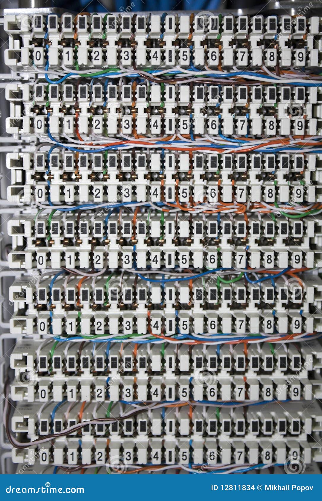 Patch panel stock photo. Image of data, electronics, plastic - 12811834