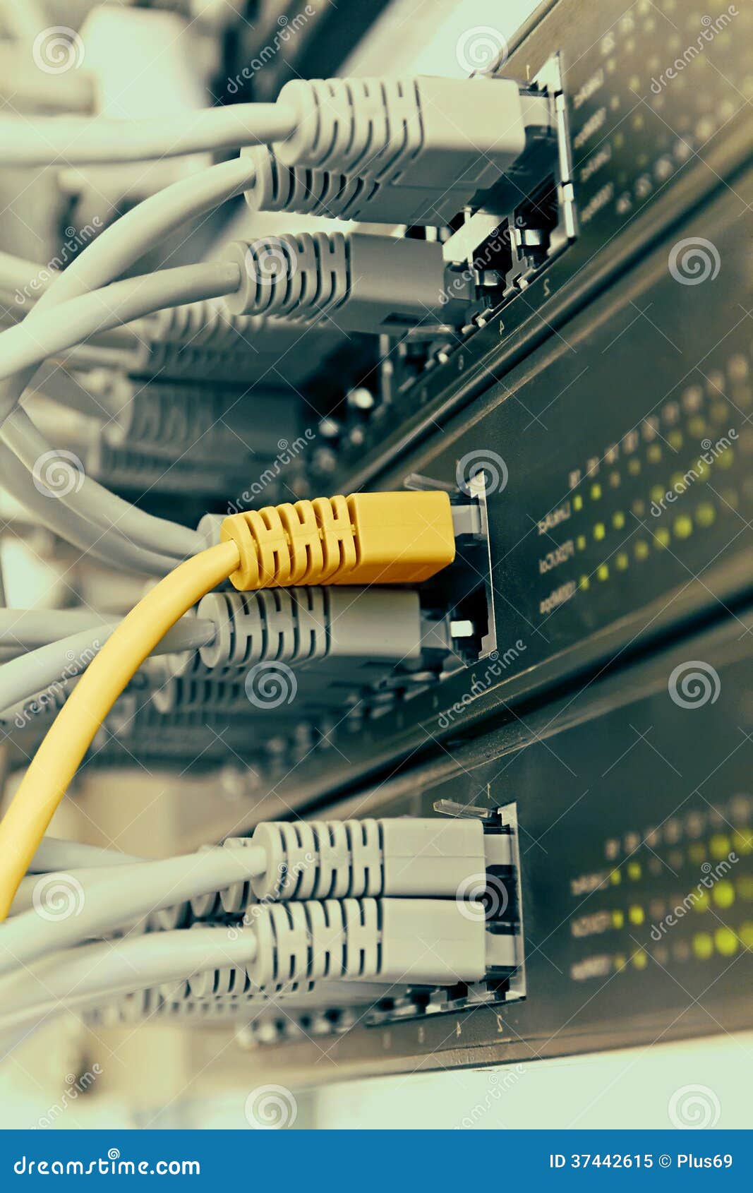 Patch Panel Server Rack with Gray Cords Stock Image - Image of cabling ...